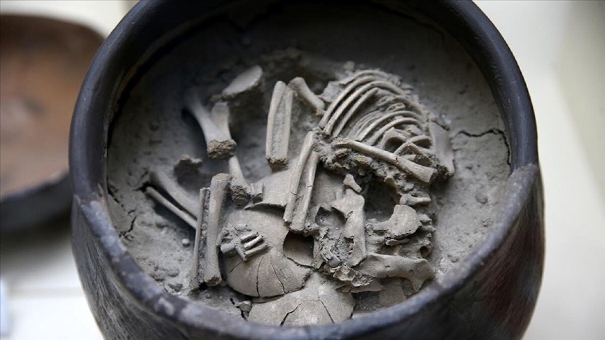 Arslantepe Höyüğü'nden çıkan 5 bin yıllık küp mezar Malatya Müzesi'nde ...