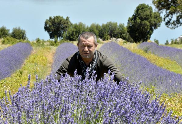 Burdur'da kurak dağlarda mor şölen - Ensonhaber